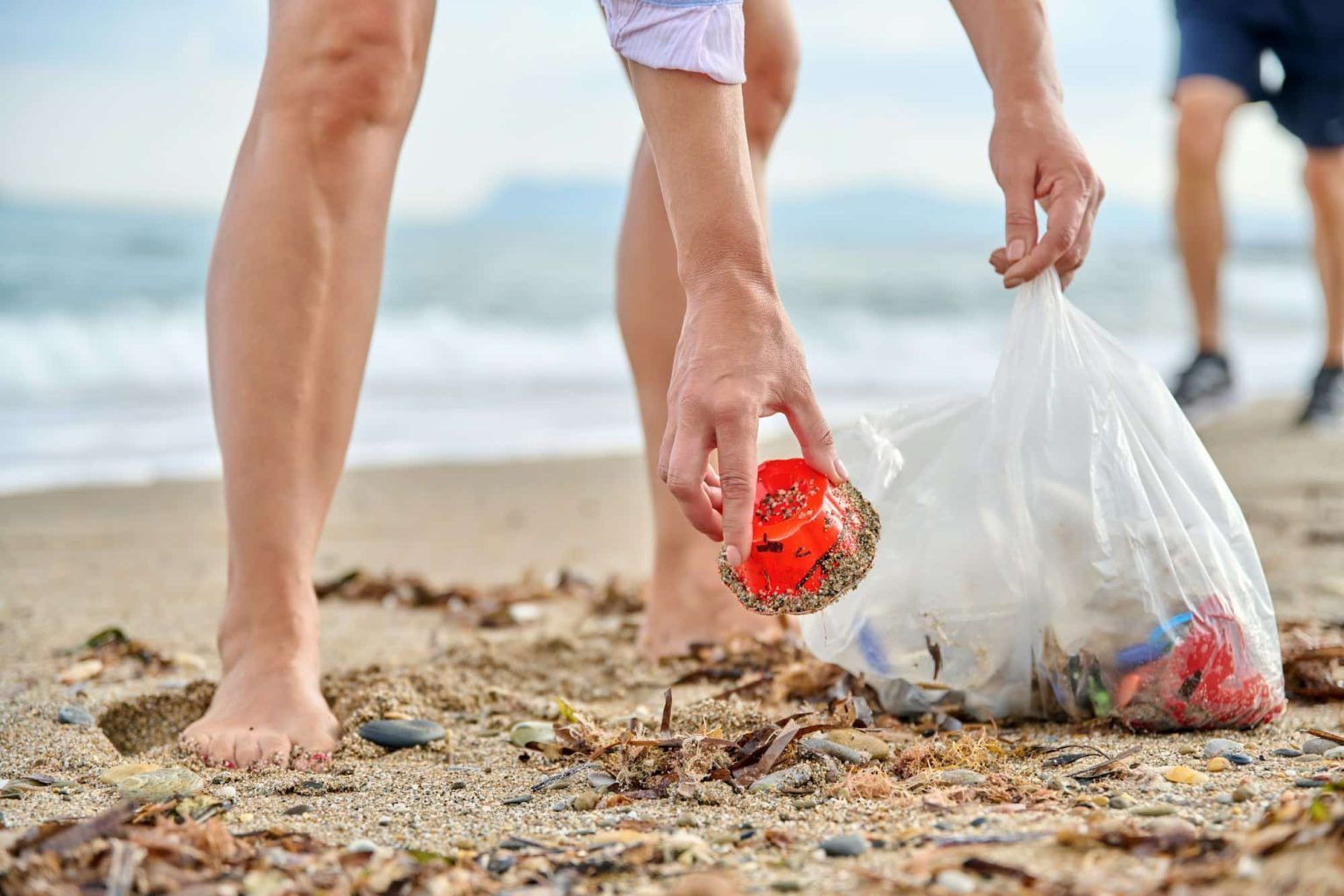 Sac de plage transparent : pourquoi choisir ce type de produit